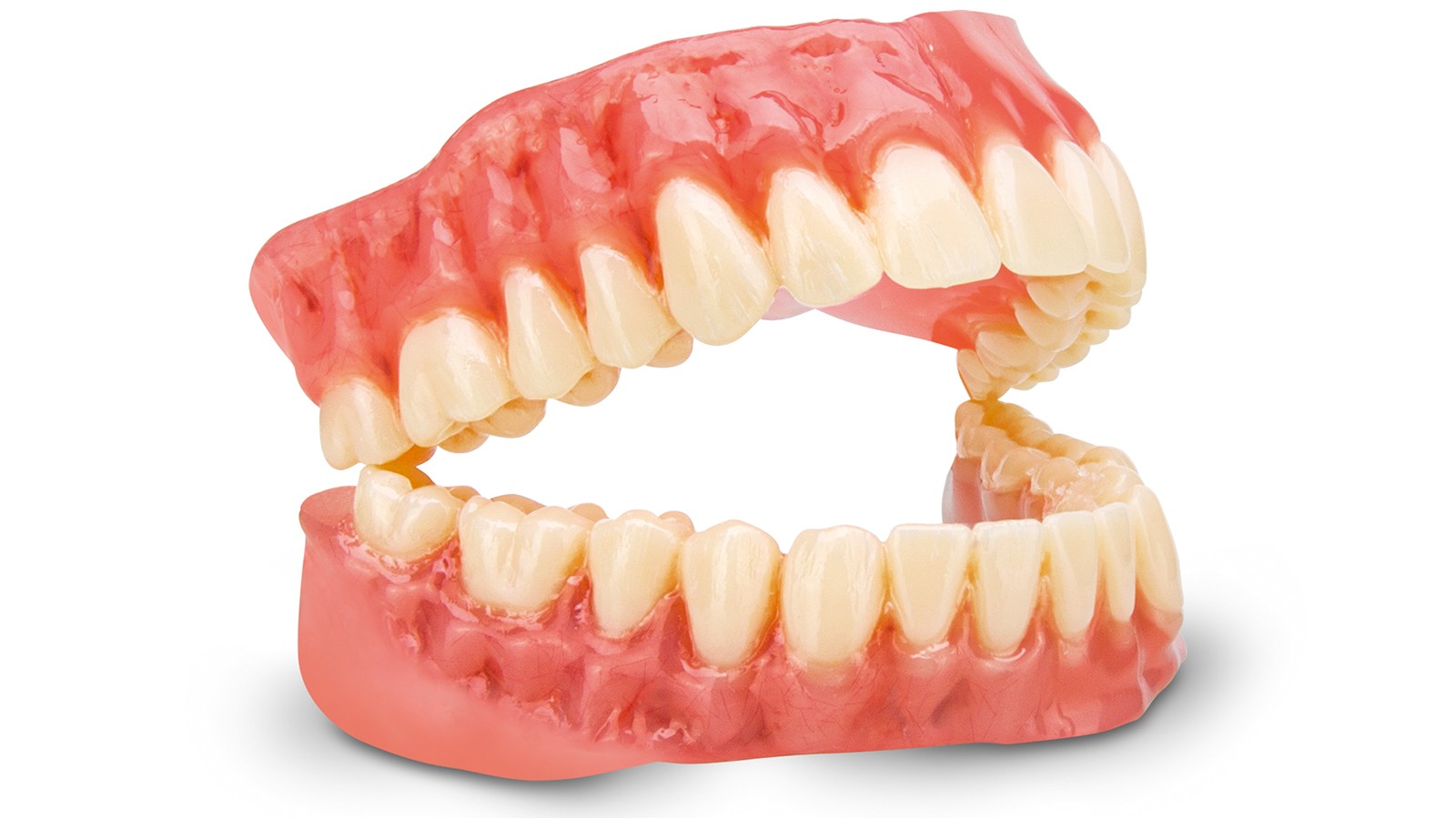 dima Print Digital Denture – Resin for 3D printed dentures